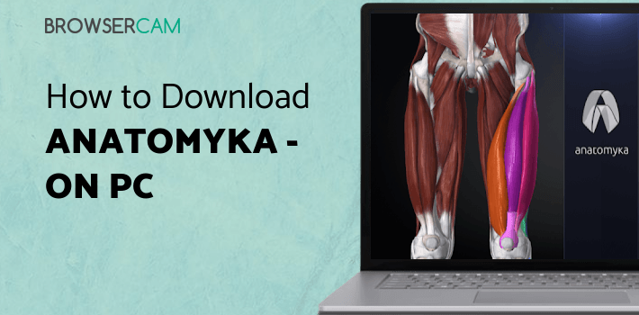 Anatomyka - Interactive 3D Human Anatomy for PC - How to Install on ...