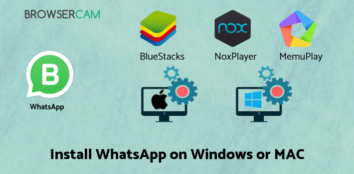 WhatsApp Business for PC - How to Install on Windows PC, Mac